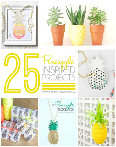 25 Pineapple Projects