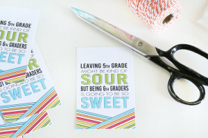 Class Gift Idea - Sour Patch Kids Printables