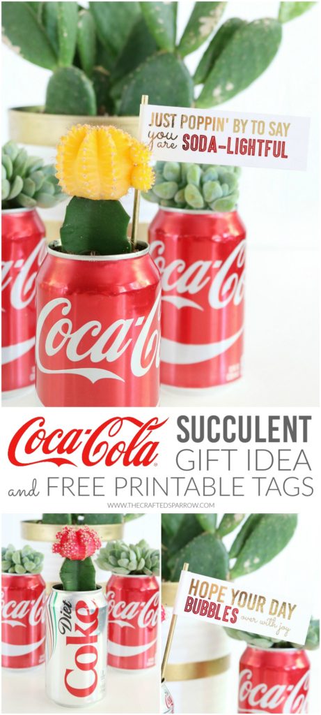 DIY Coca-Cola Succulent Gift Idea - The Crafted Sparrow