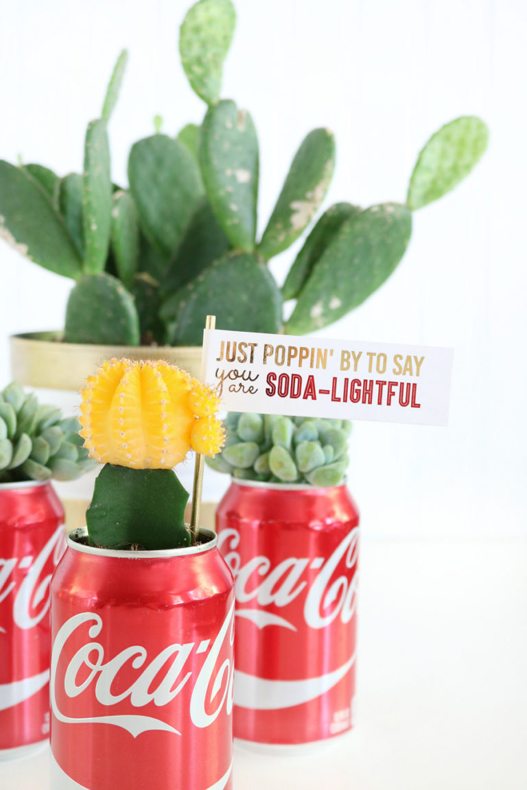 DIY Coca-Cola Succulent Gift Idea 6 - The Crafted Sparrow