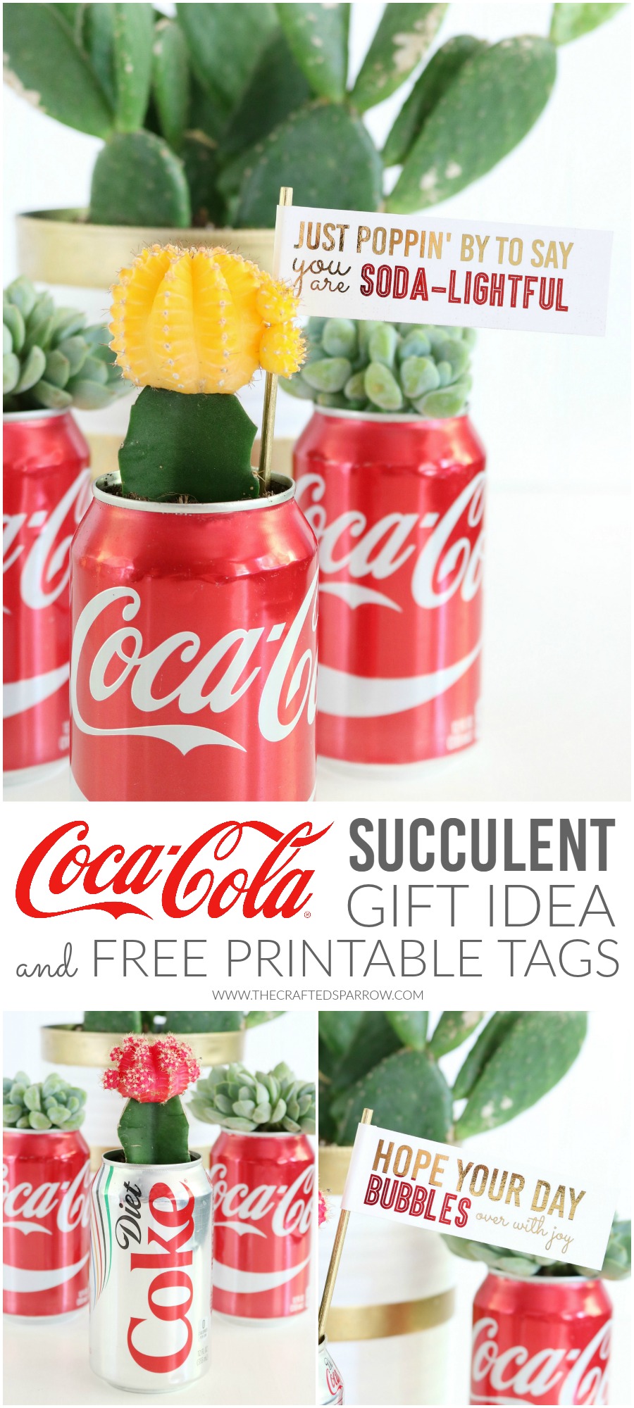 DIY Coca-Cola Succulent Gift Idea - The Crafted Sparrow